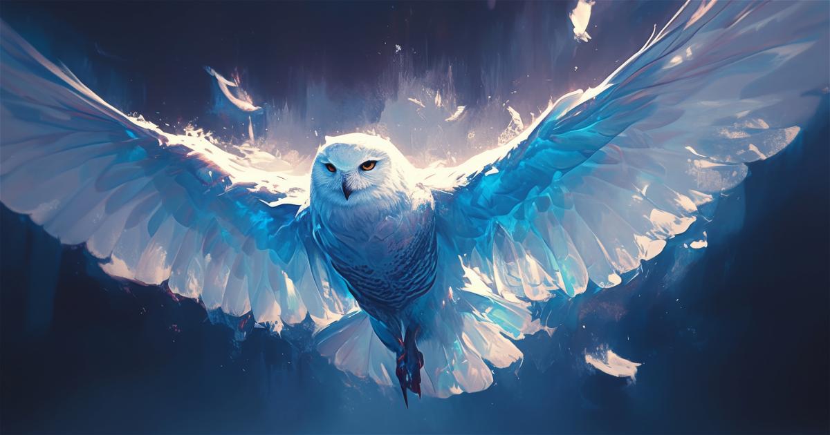 4K HD Wallpapers: Hedwig owl